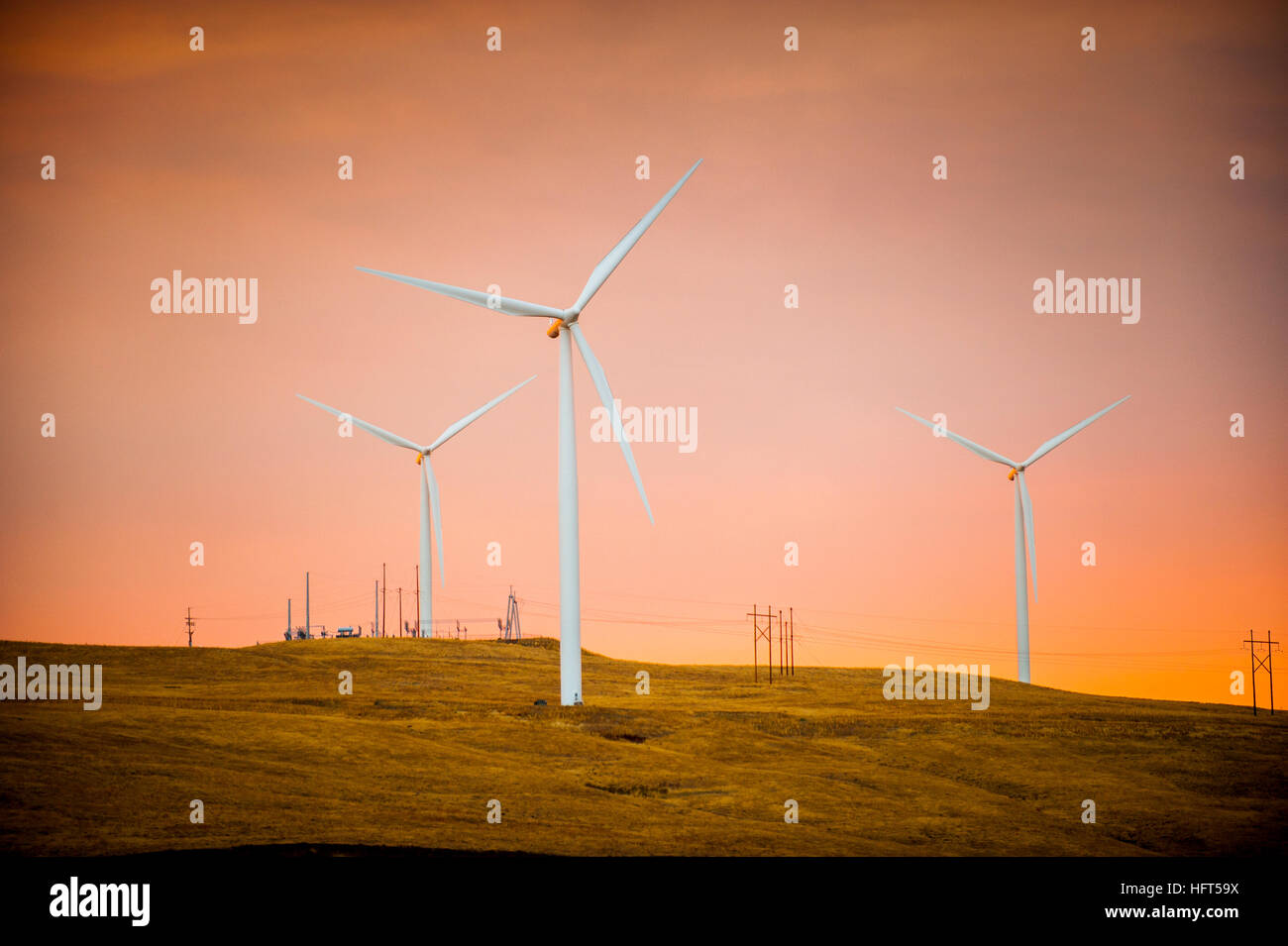 Wind turbines lining the hills in the high desert of eastern Washington ...
