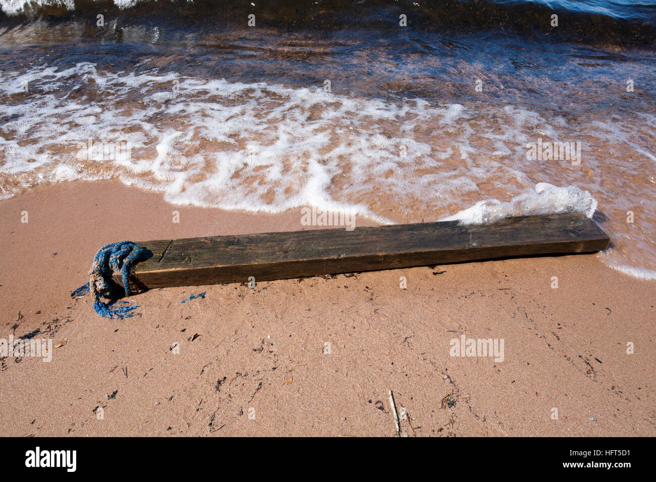 Shoreline log hi-res stock photography and images - Alamy