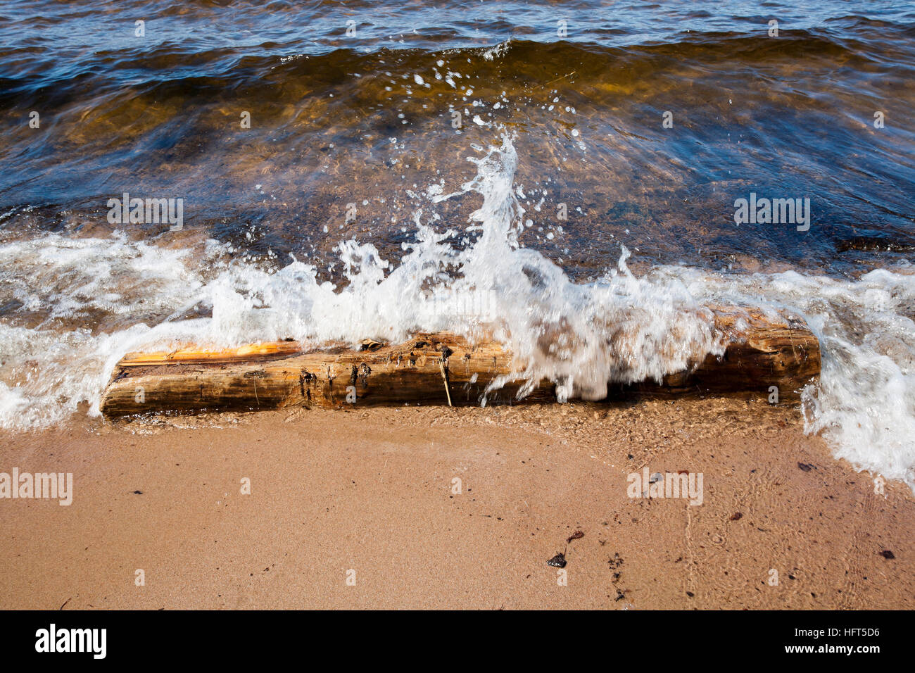 Shoreline log hi-res stock photography and images - Alamy