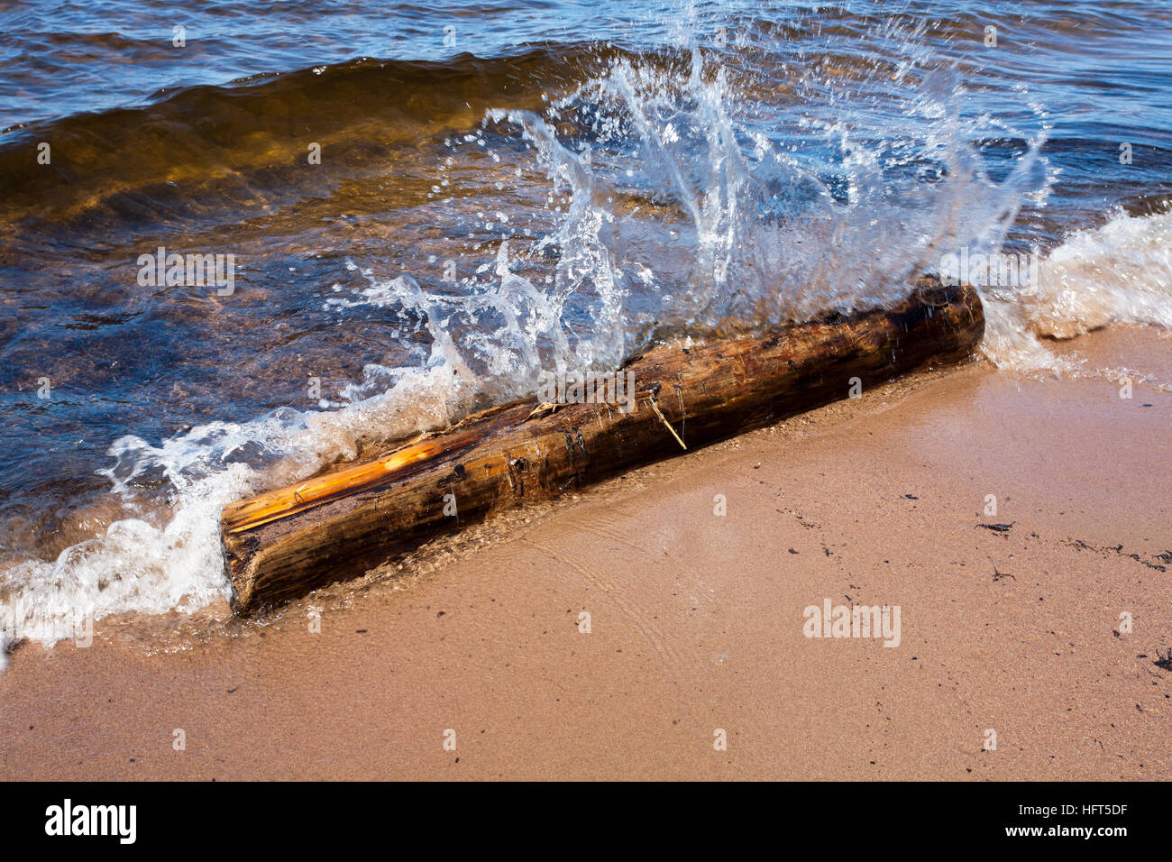 shoreline with stranded log Stock Photo - Alamy