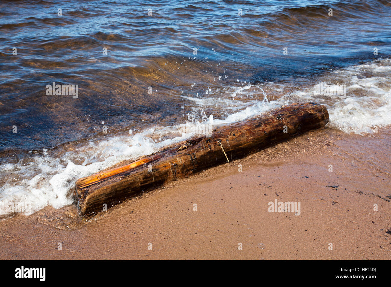 Shoreline log hi-res stock photography and images - Alamy