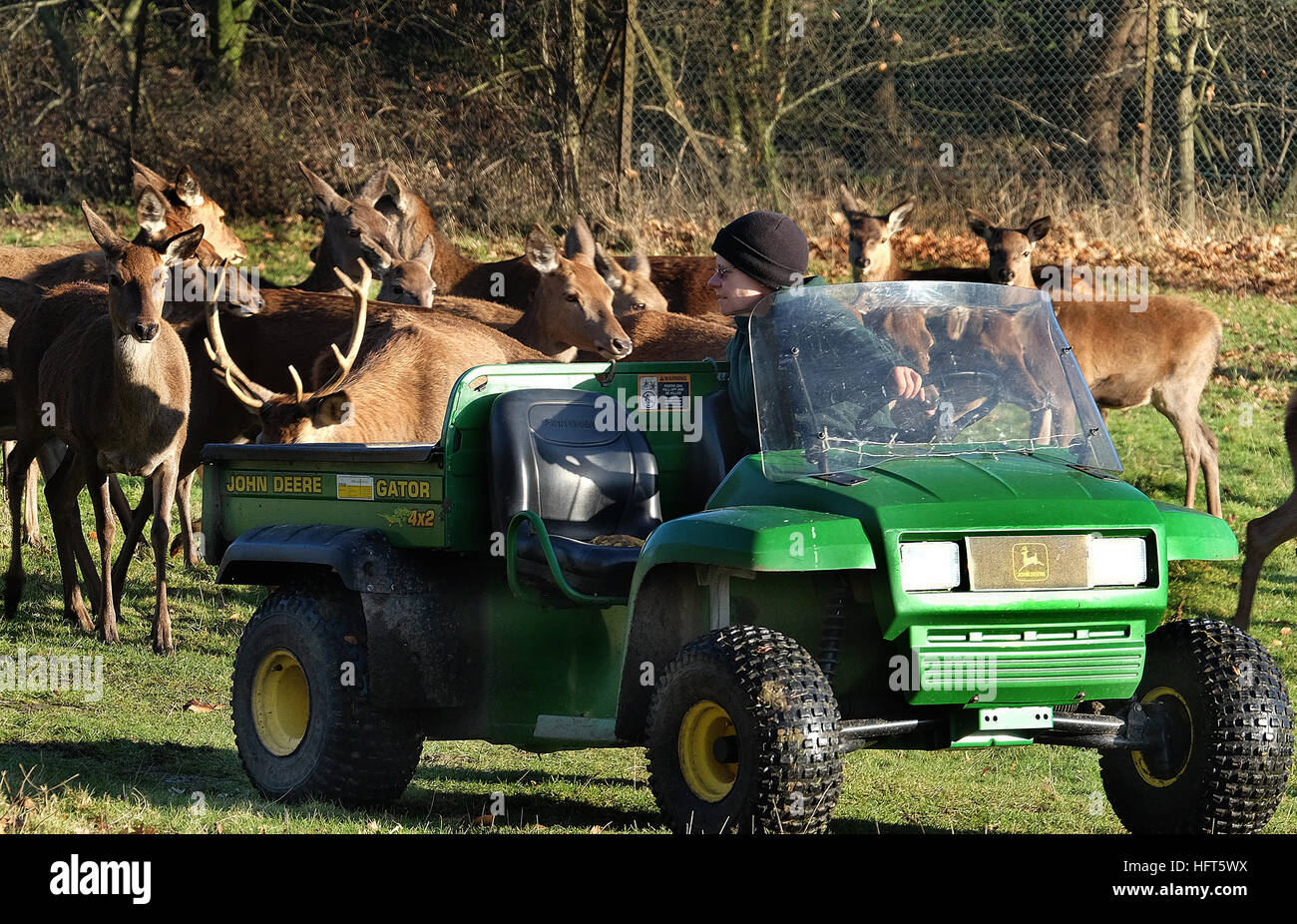 Female ranger hi-res stock photography and images - Alamy