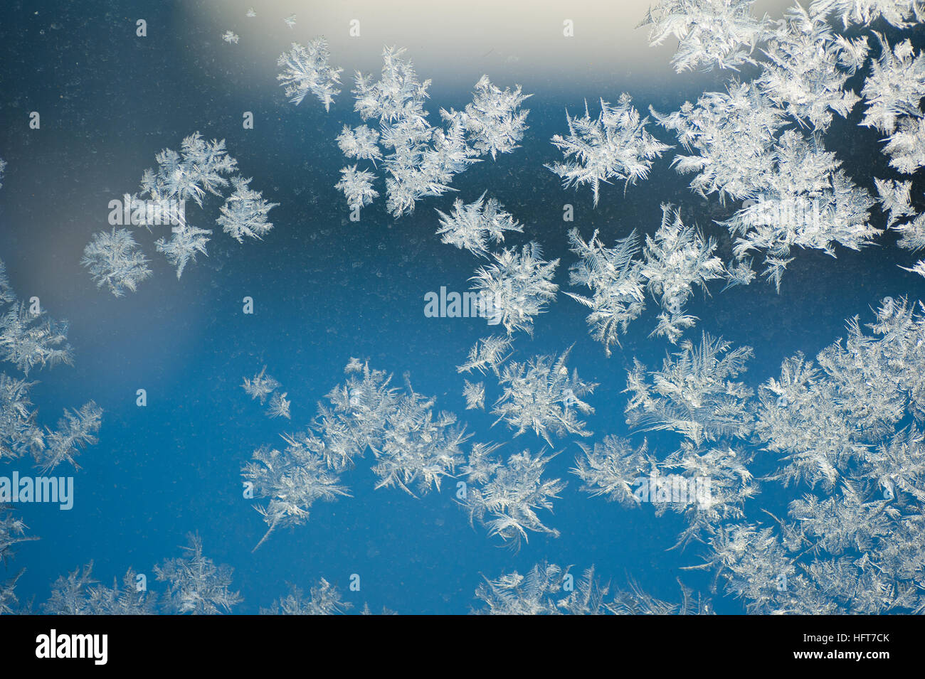 texture of patterns on frozen window glass Stock Photo - Alamy
