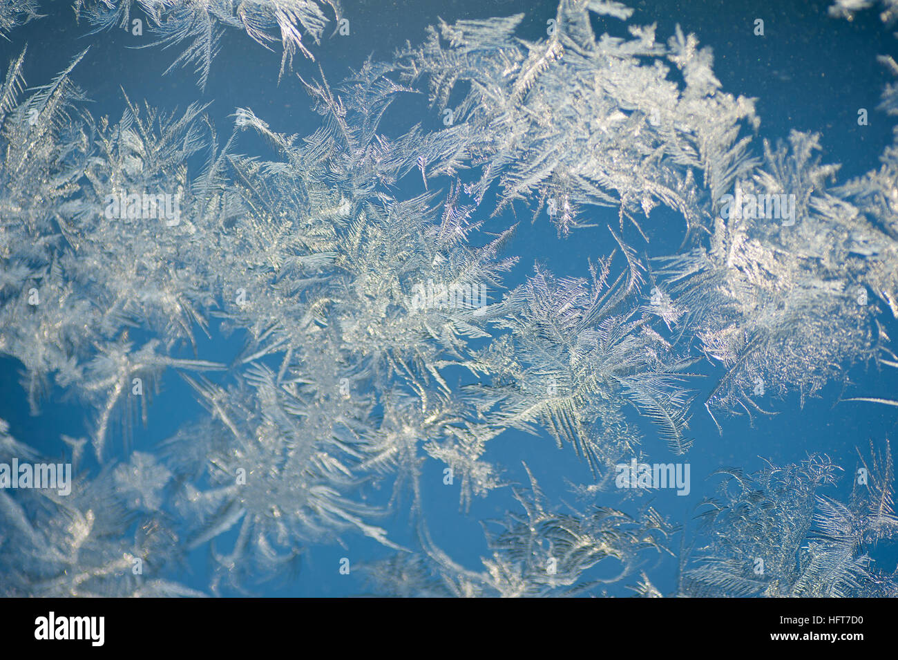 texture of patterns on frozen window glass Stock Photo - Alamy