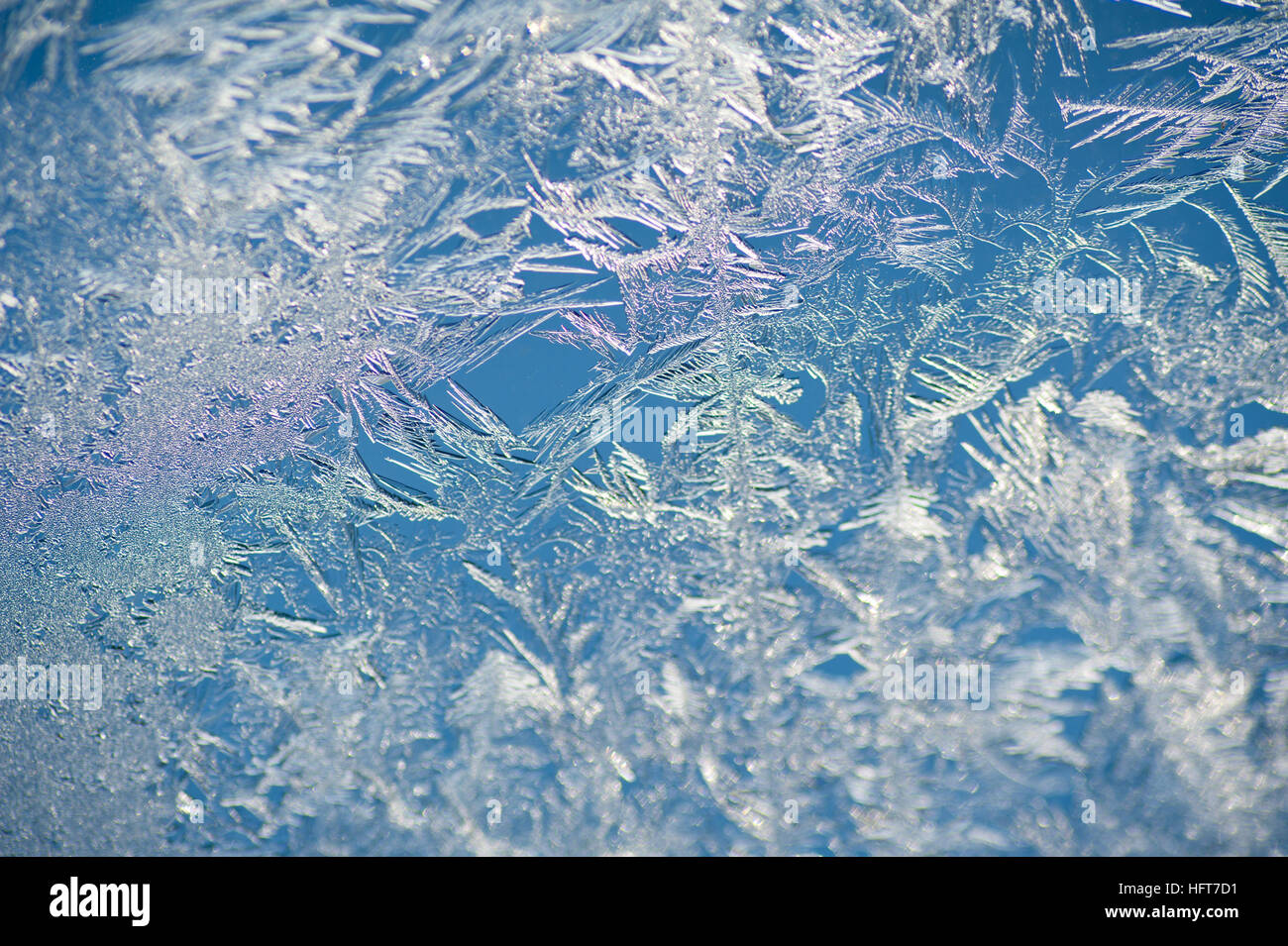 texture of patterns on frozen window glass Stock Photo - Alamy
