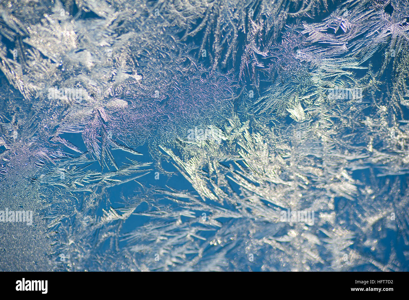 texture of patterns on frozen window glass Stock Photo - Alamy