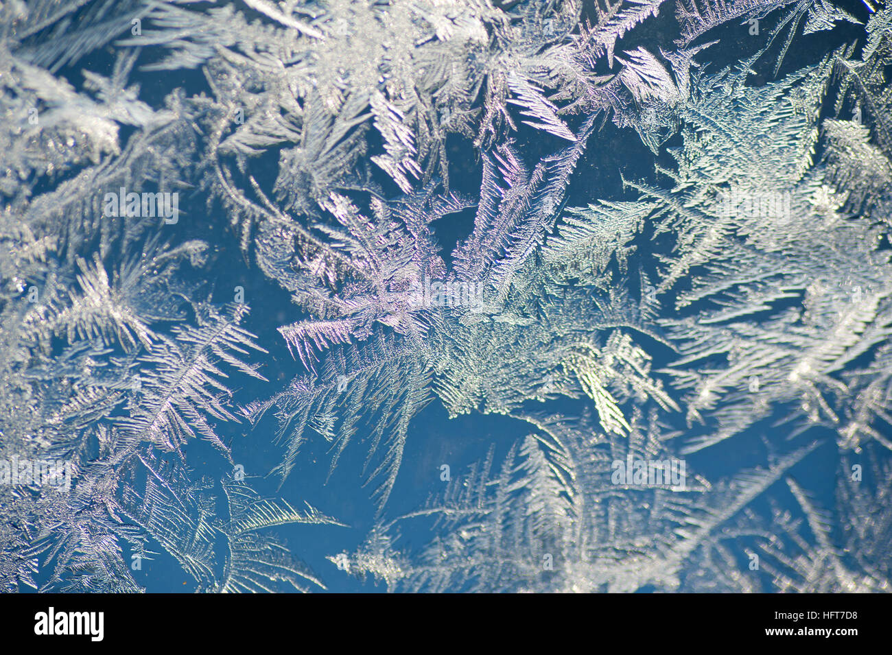 texture of patterns on frozen window glass Stock Photo - Alamy