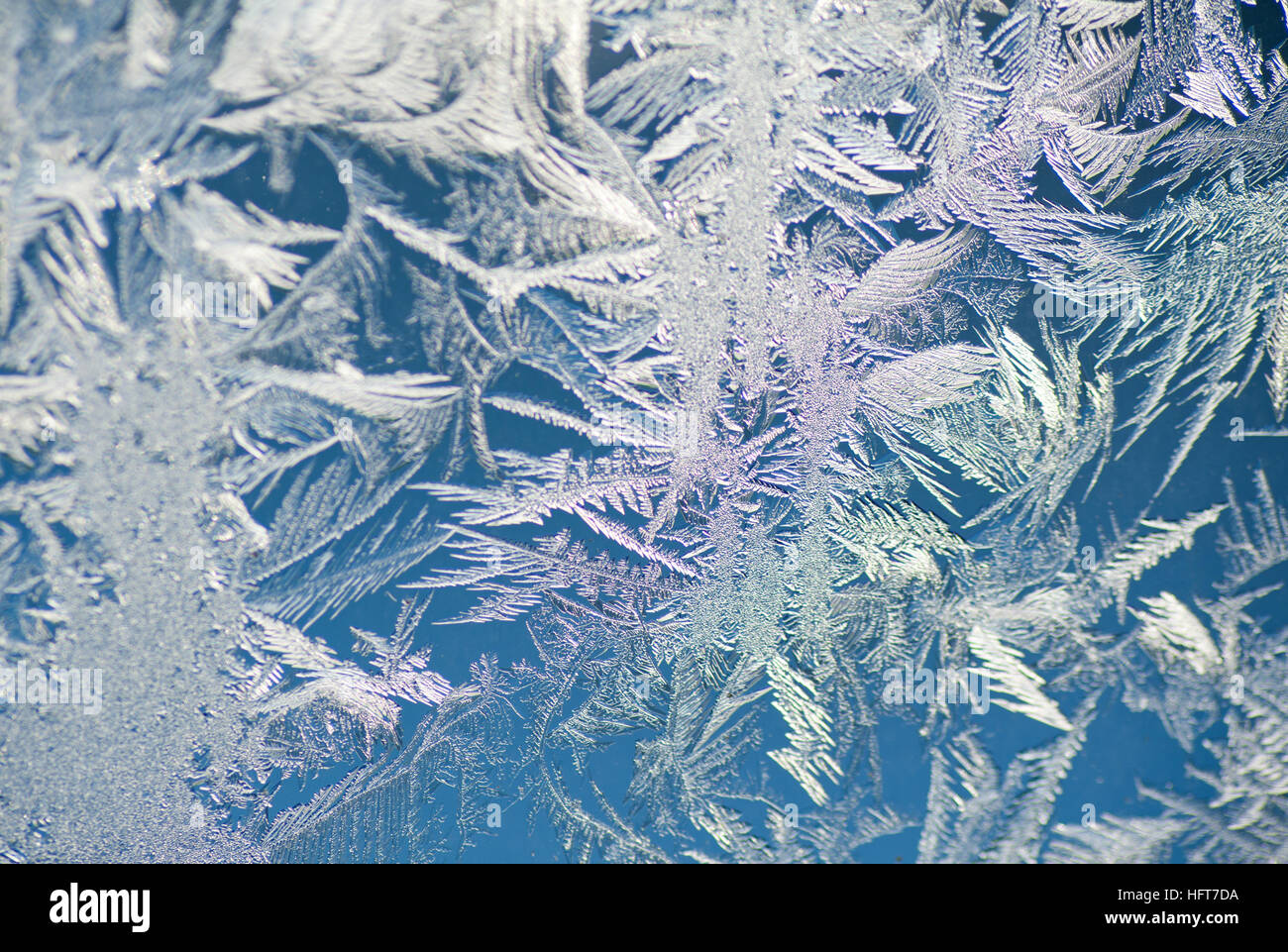 texture of patterns on frozen window glass Stock Photo - Alamy