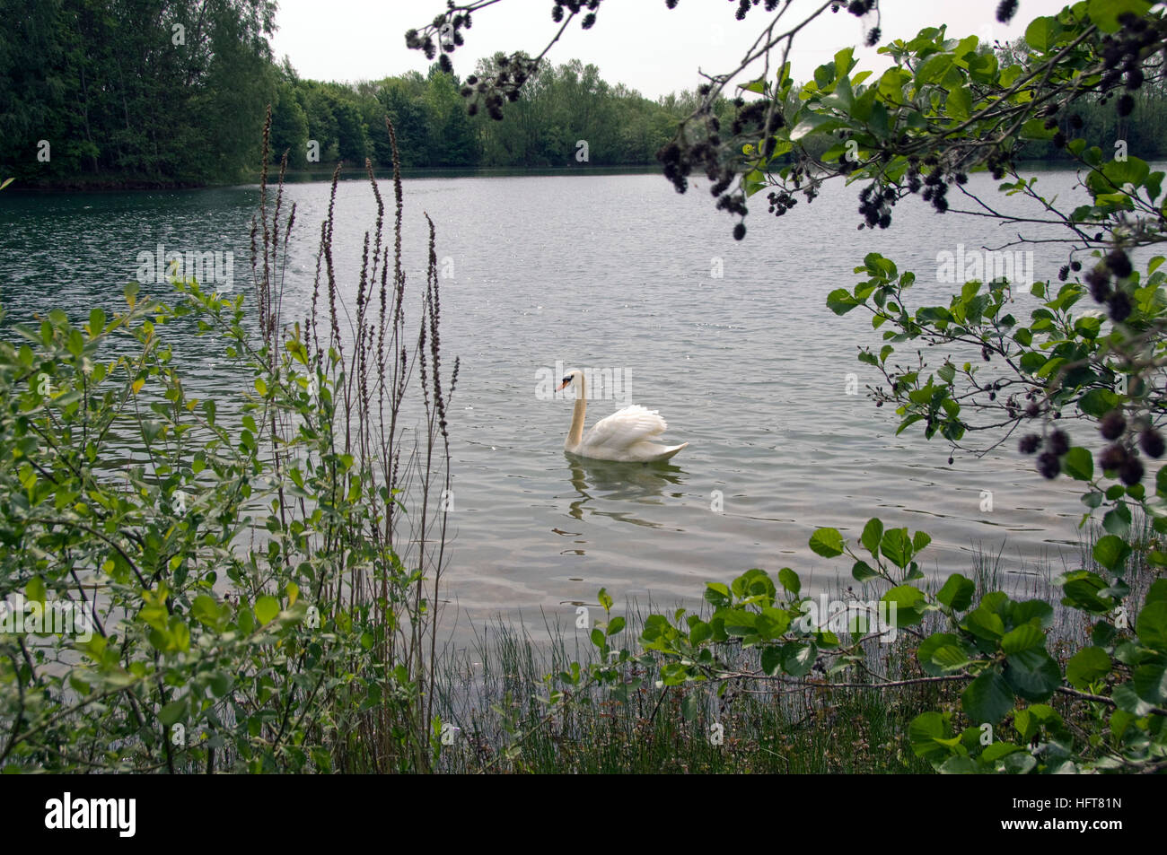 Lakes by Yoo, houses built around a series of Cotswolds lakes,Lechlade ...