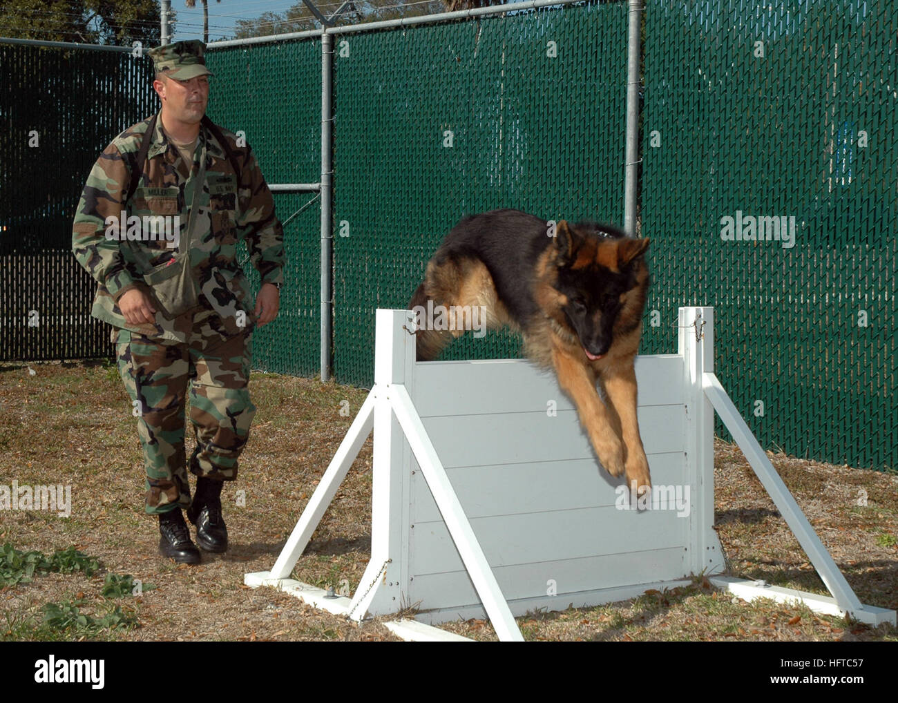 Naval station mayport security military working dog unit hi-res stock ...