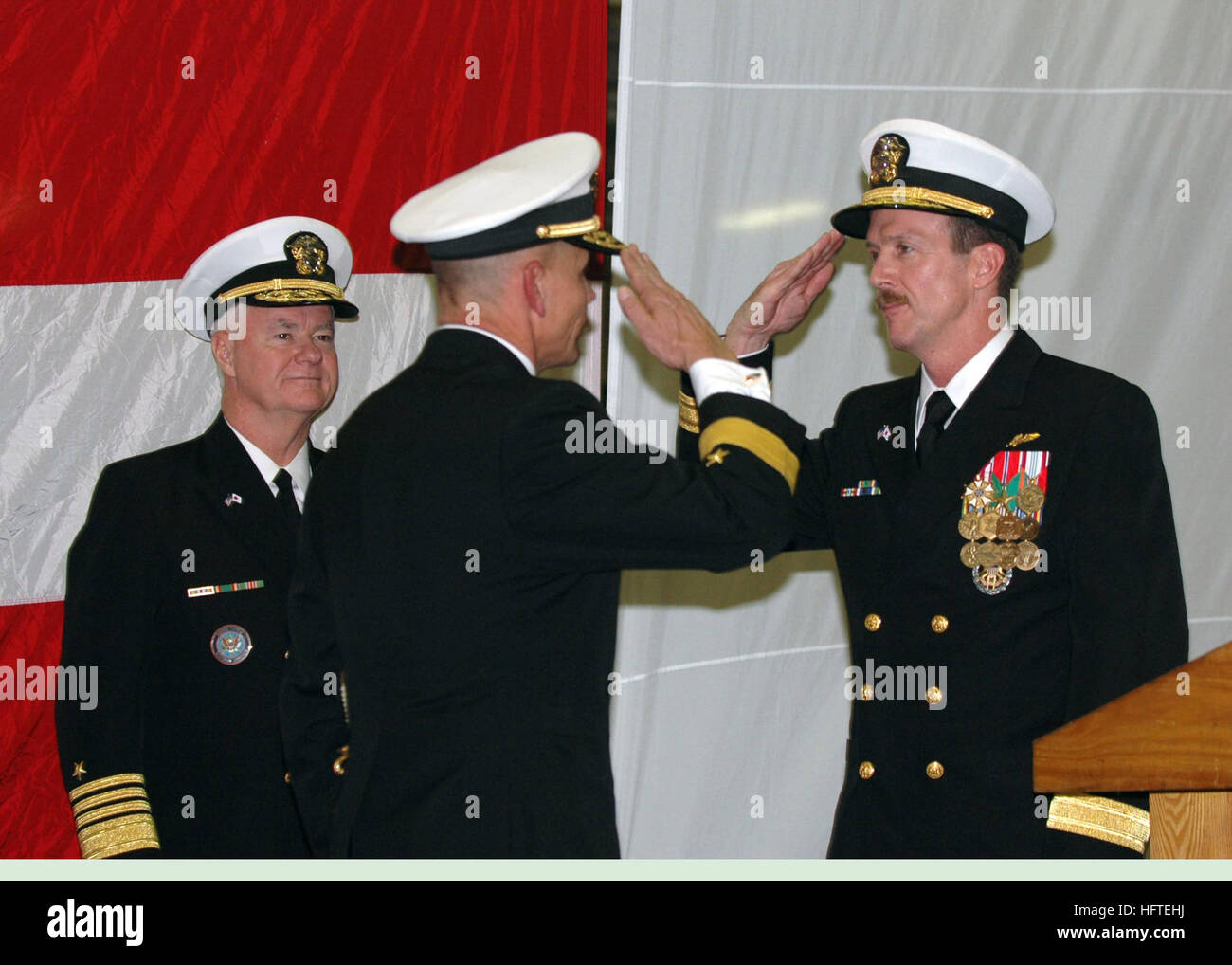 Kitty wren hi-res stock photography and images - Alamy