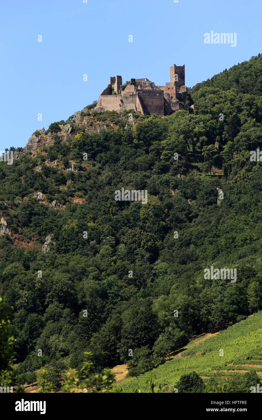Le Château du Haut-Ribeaupierre ou château de Saint-Ulrich ...