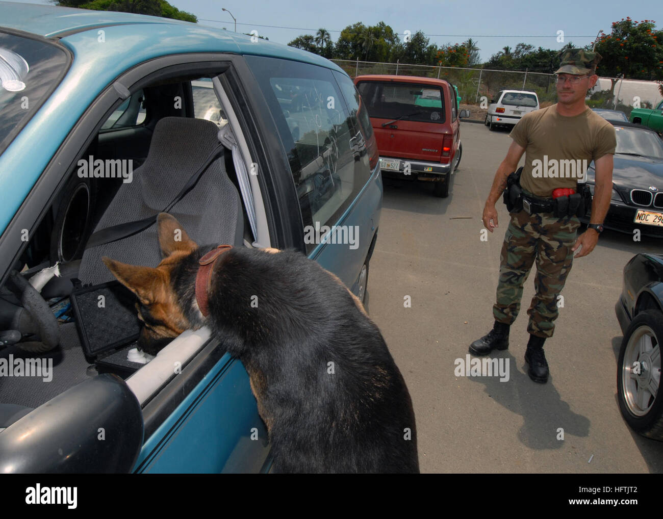 Car handler e hi-res stock photography and images - Alamy