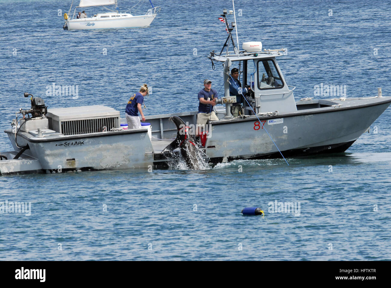 Navy marine mammal program hi-res stock photography and images - Alamy