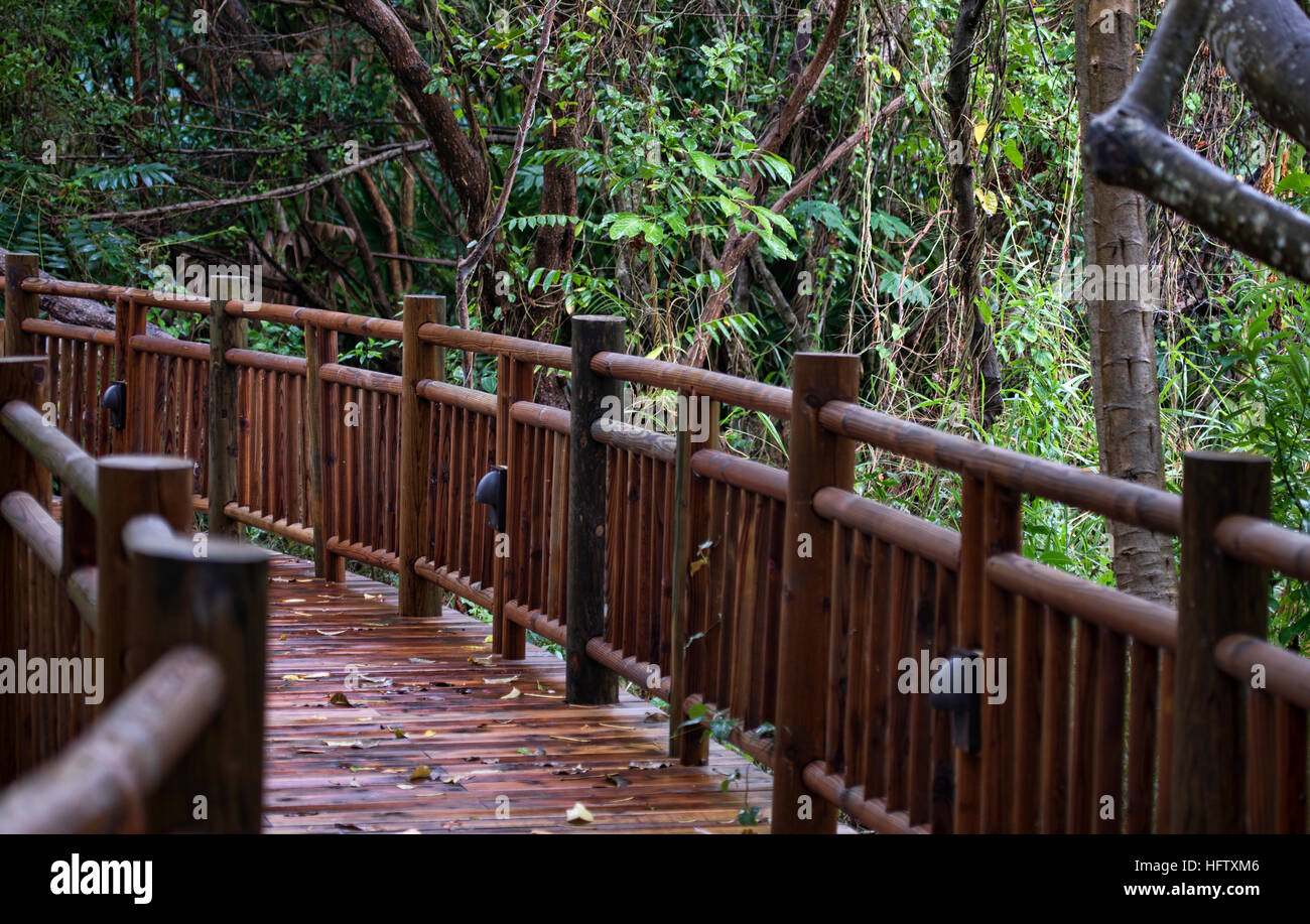 Jungle path vacation resort. Luxury resort on Mexican Mayan Riviera ...