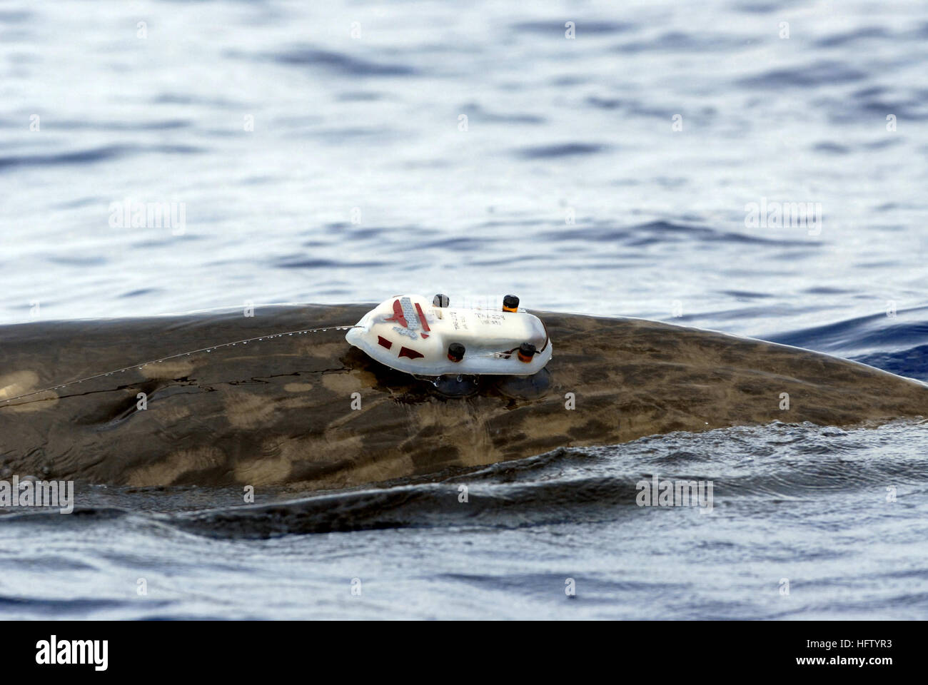 Atlantic undersea test evaluation center hi-res stock photography and ...