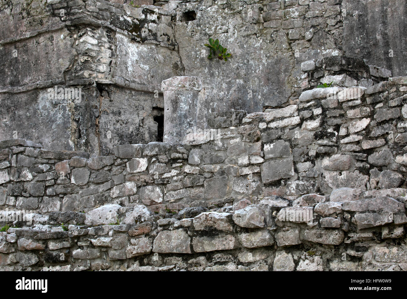 Tulum Mexico ruins and vegetation. Pre Columbian Mayan ancient walled ...