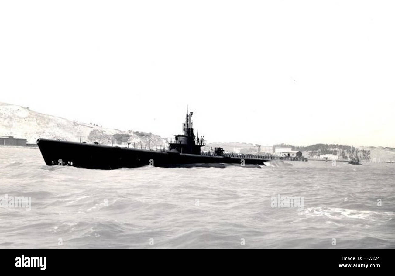 Trepang hi-res stock photography and images - Alamy