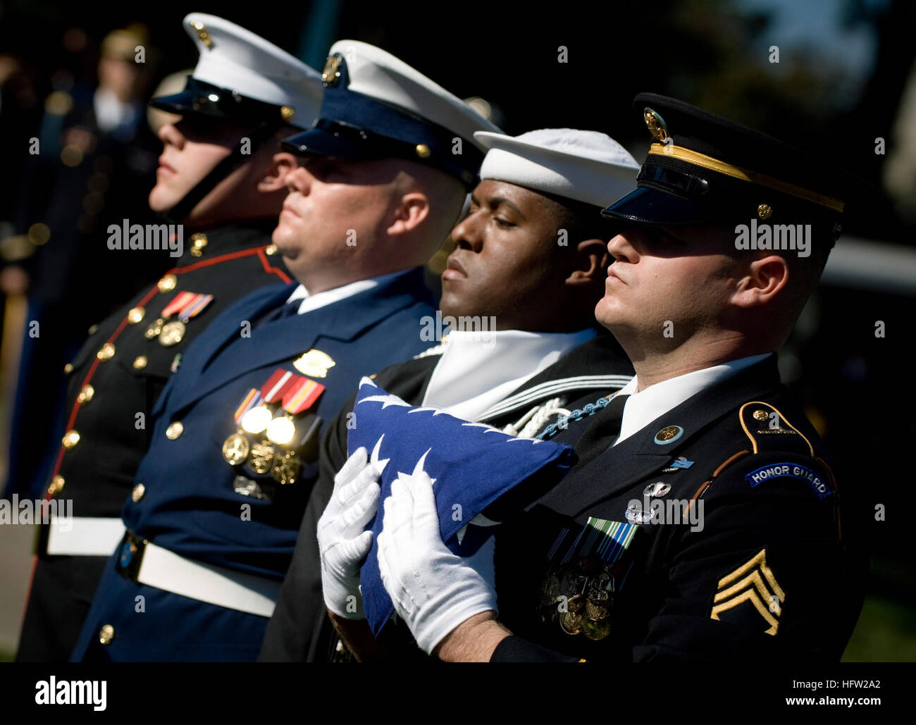 Joint service honor guard hi-res stock photography and images - Alamy