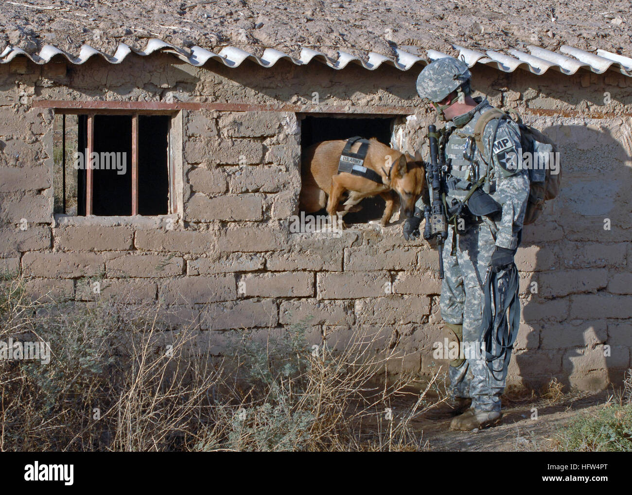 1st military working dog regiment hi-res stock photography and images ...