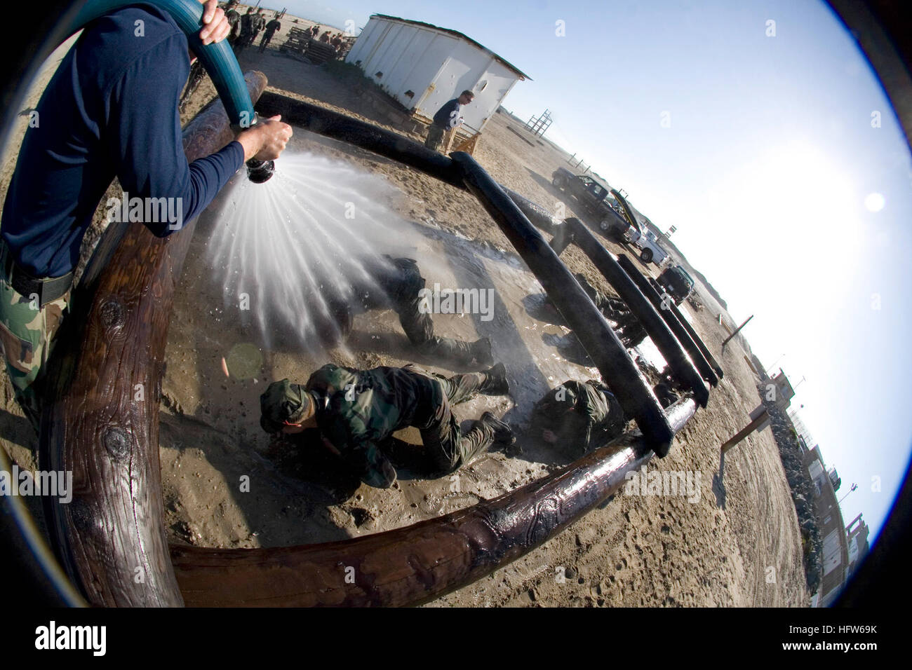 Seal buds training hi-res stock photography and images - Alamy