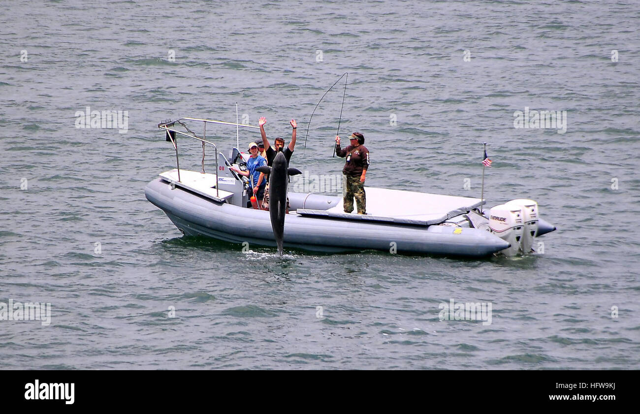 Dolphin training navy marine hi-res stock photography and images - Alamy