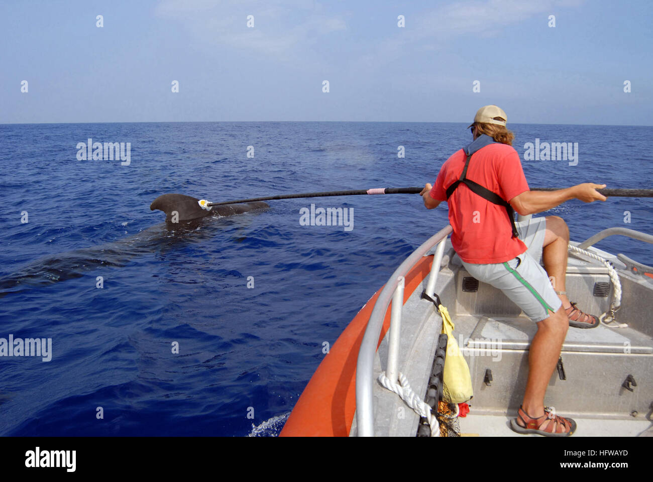 Ised hi-res stock photography and images - Alamy