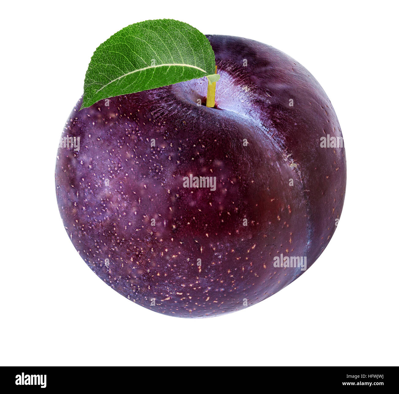 plum on a white background Stock Photo - Alamy