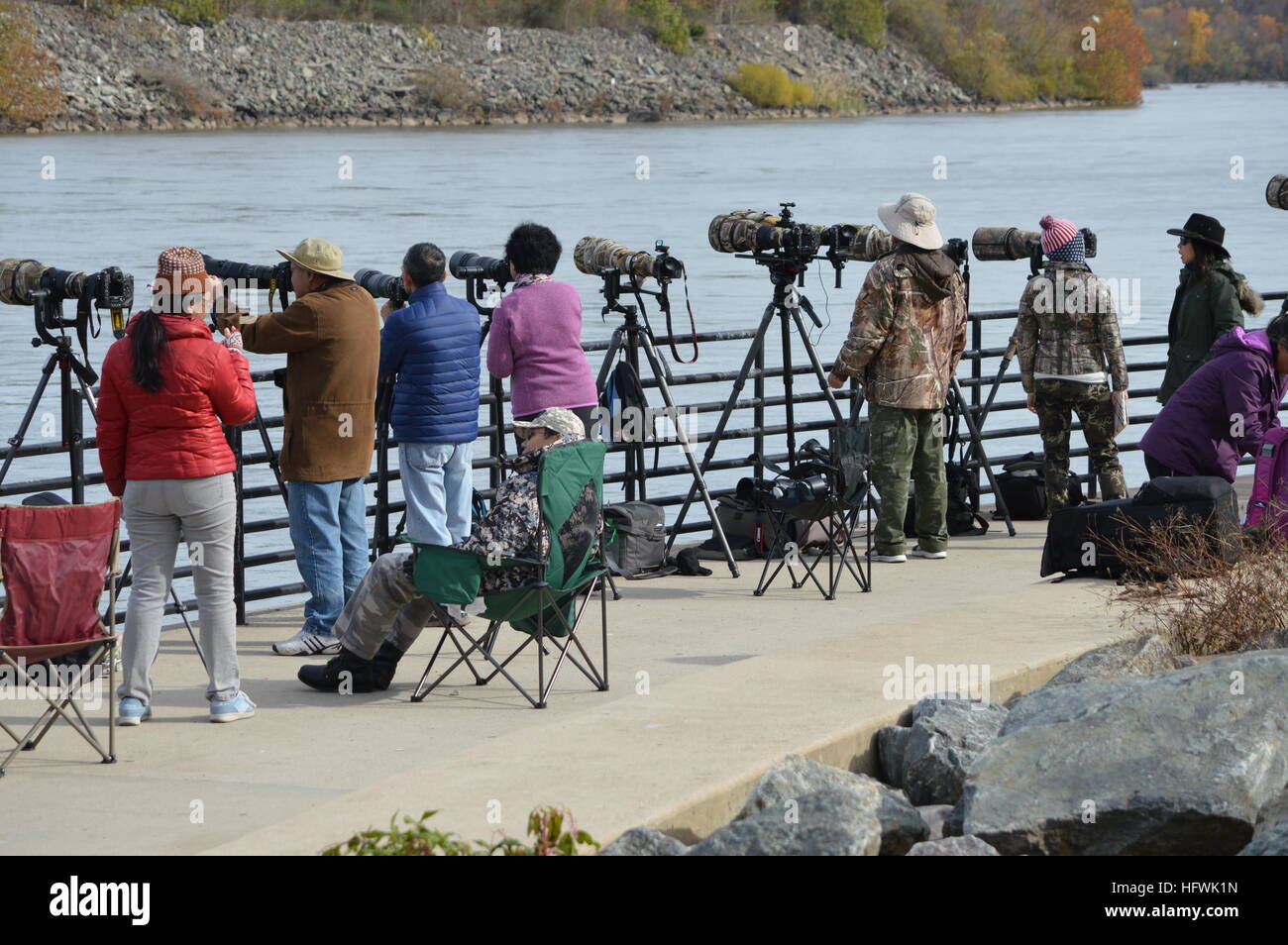 A large group of photographers taking pictures of bald eagles fishing ...