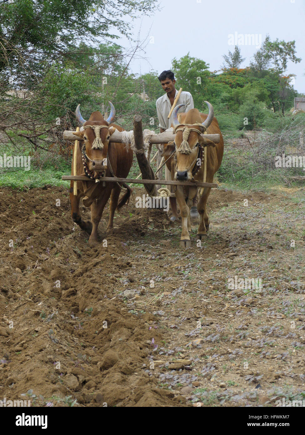 Man ploughing field hi-res stock photography and images - Alamy