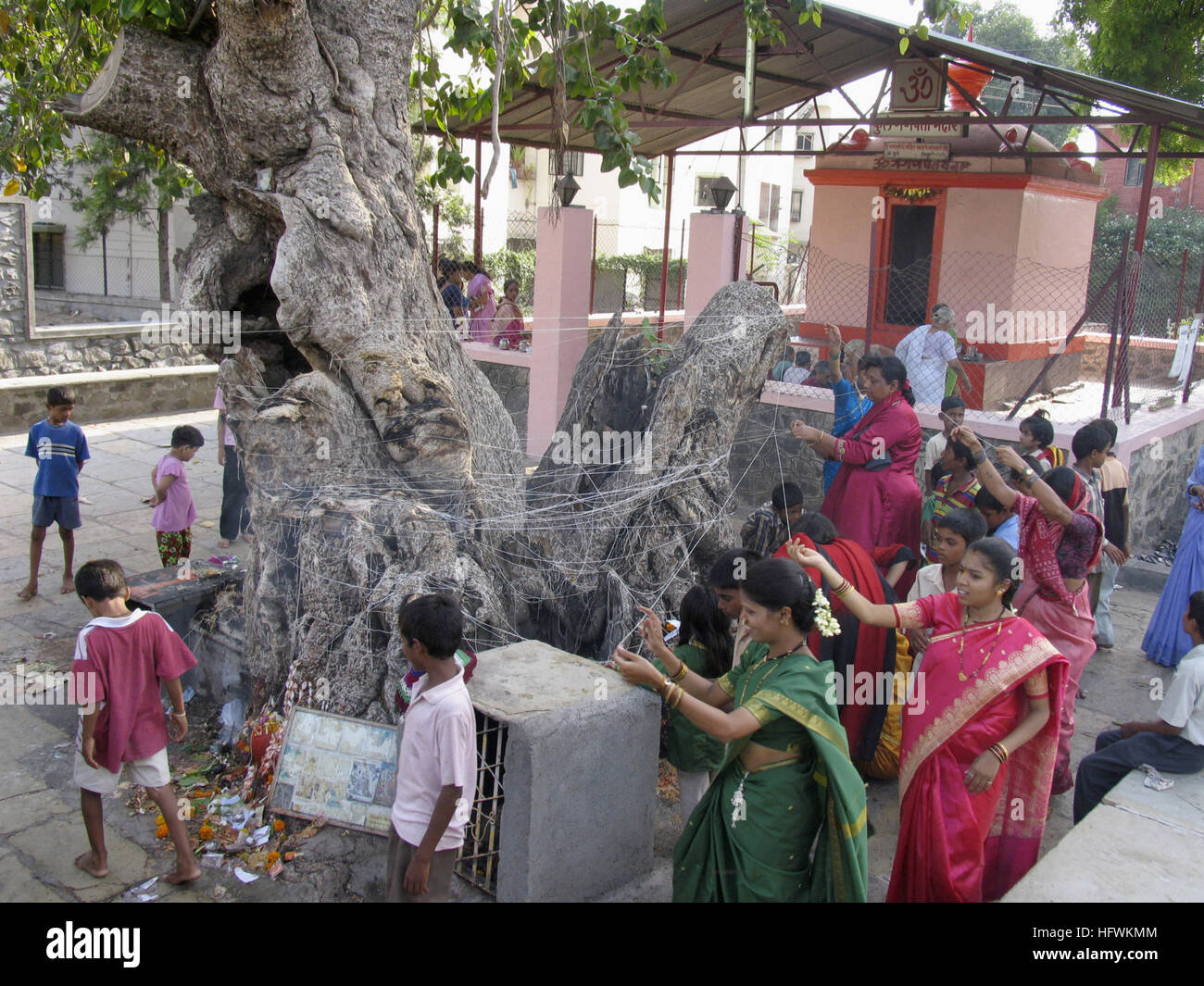 Indian Festival - Vat Savitri: woman tying thread around banyan tree ...