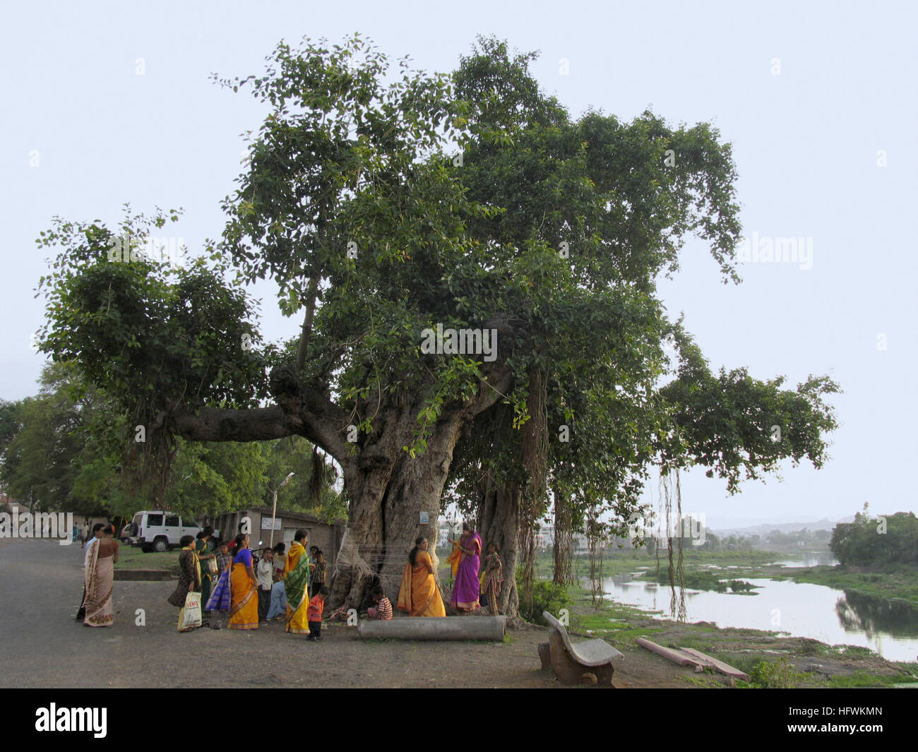 Indian Festival - Vat Savitri: woman tying thread around banyan tree ...