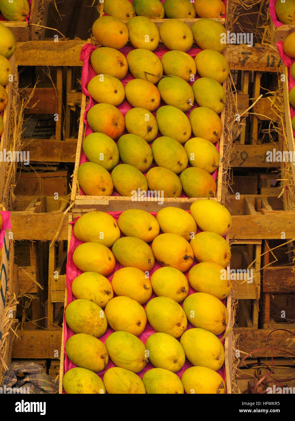 Payari hi-res stock photography and images - Alamy
