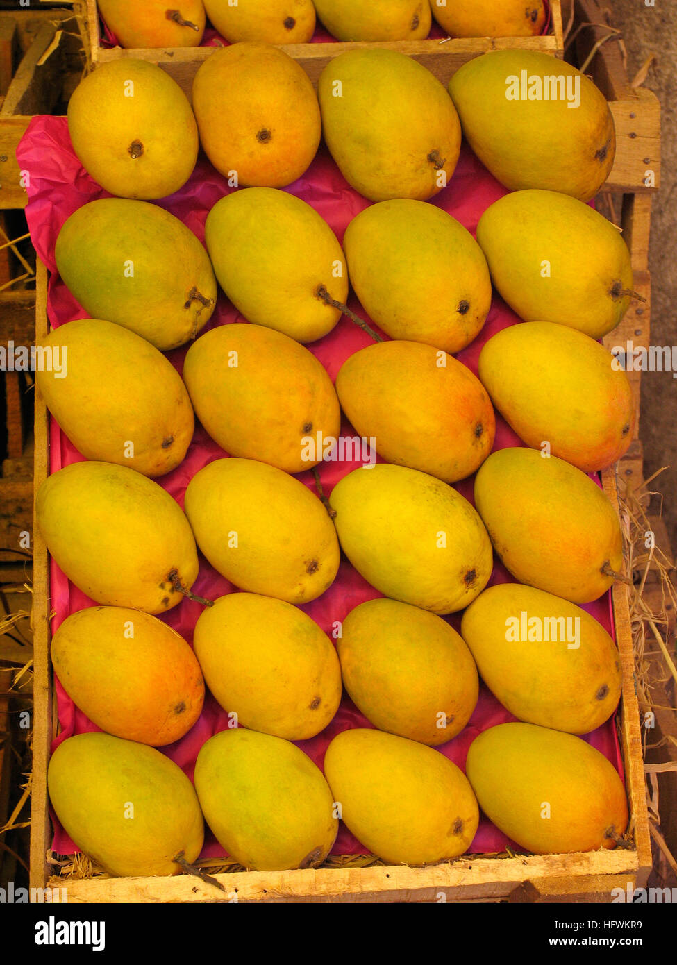 Ripen alphonso mango hi-res stock photography and images - Alamy