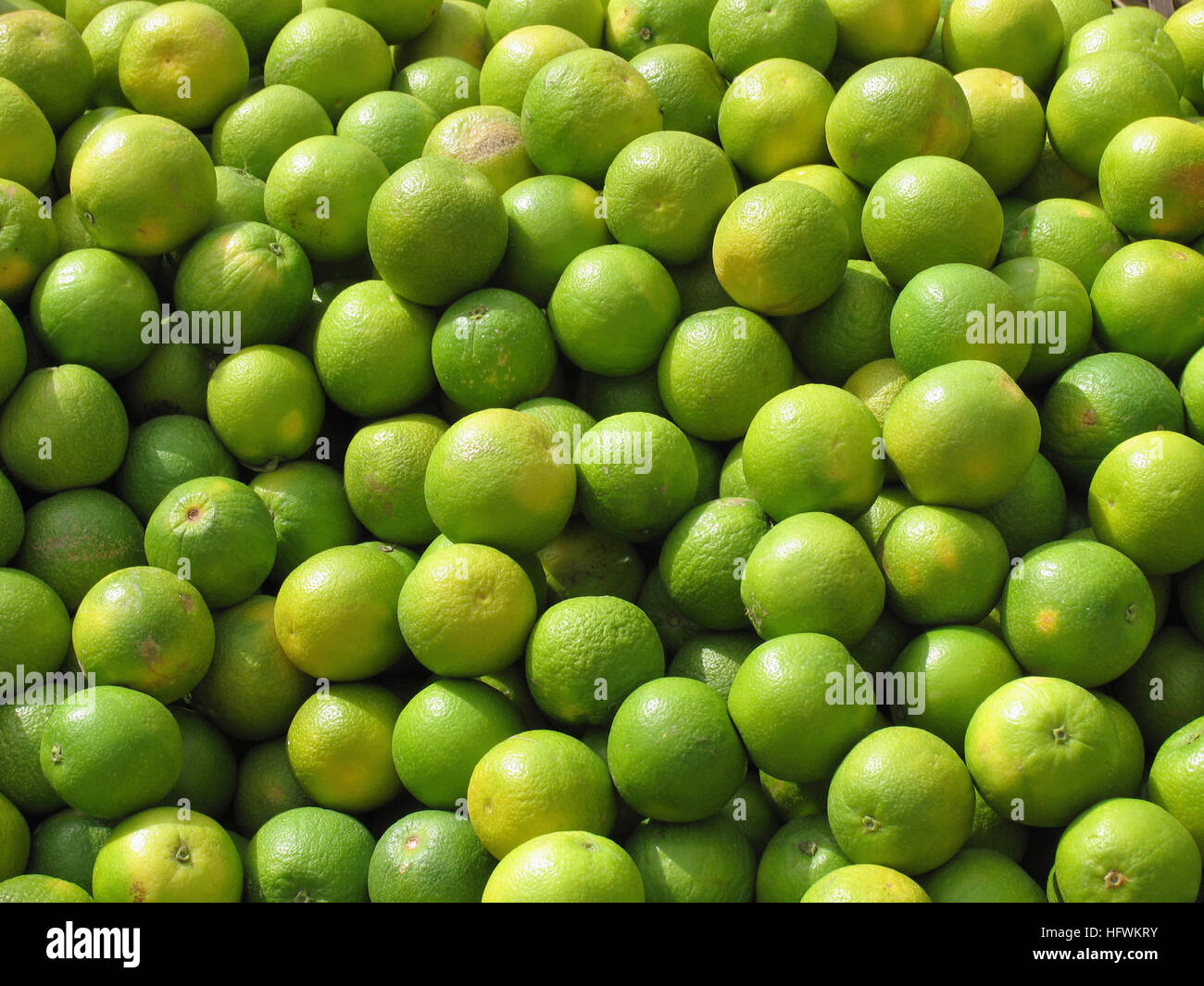 C. sinensis - Sweet Lemon. Tropical Fruit Stock Photo - Alamy