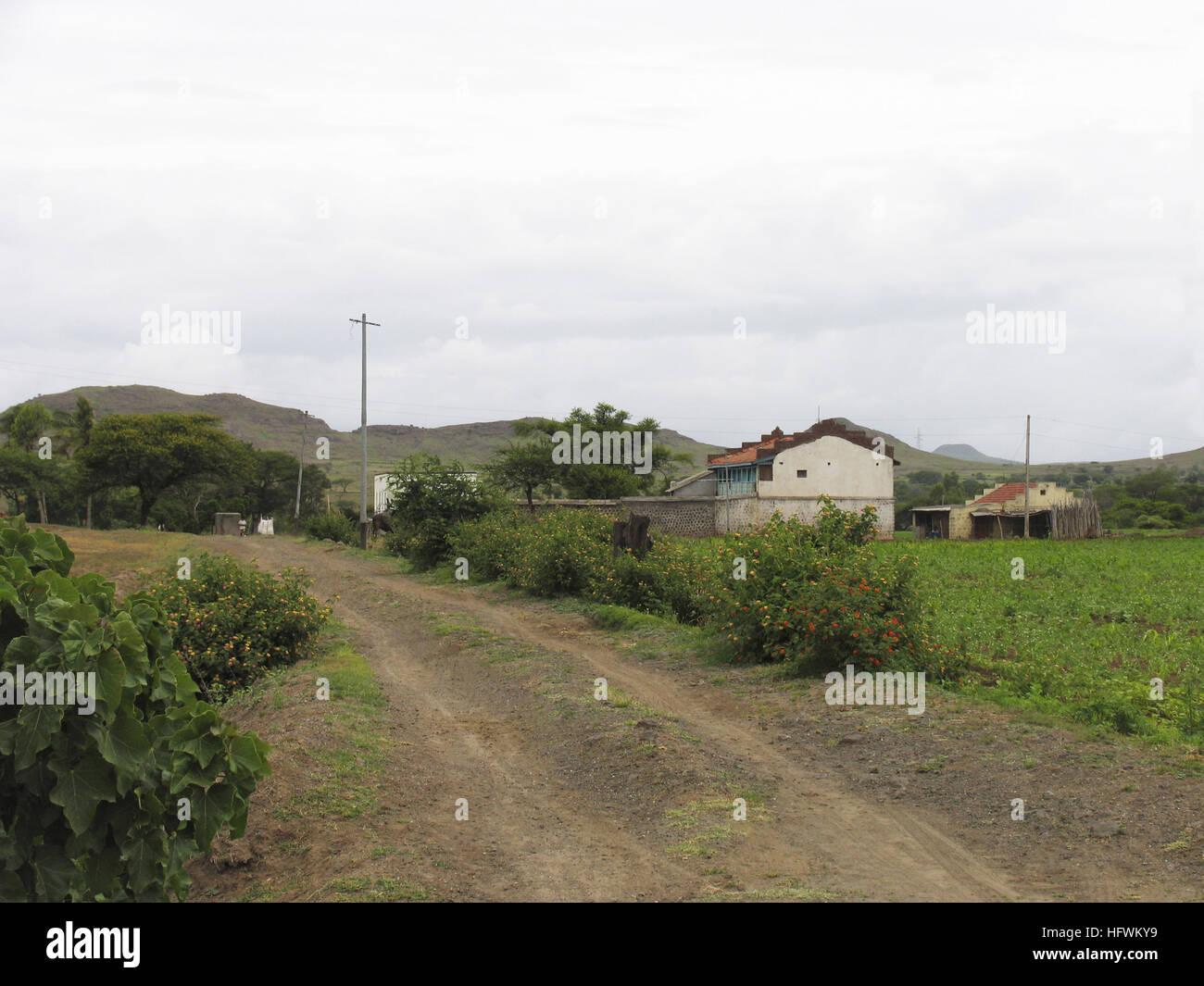 Indian rural village road Stock Photo - Alamy
