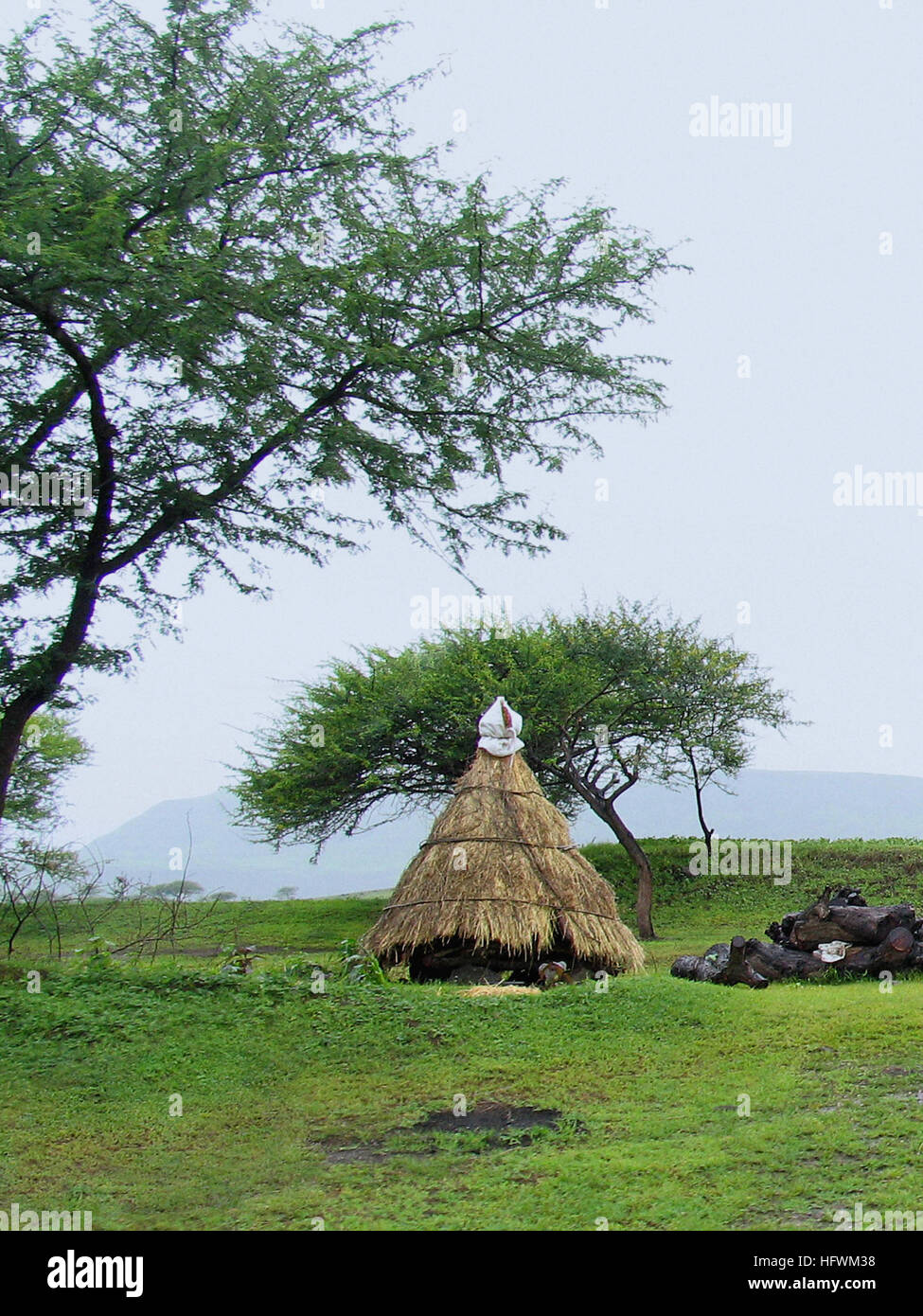 Traditional indian rural scene haystack hi-res stock photography and ...