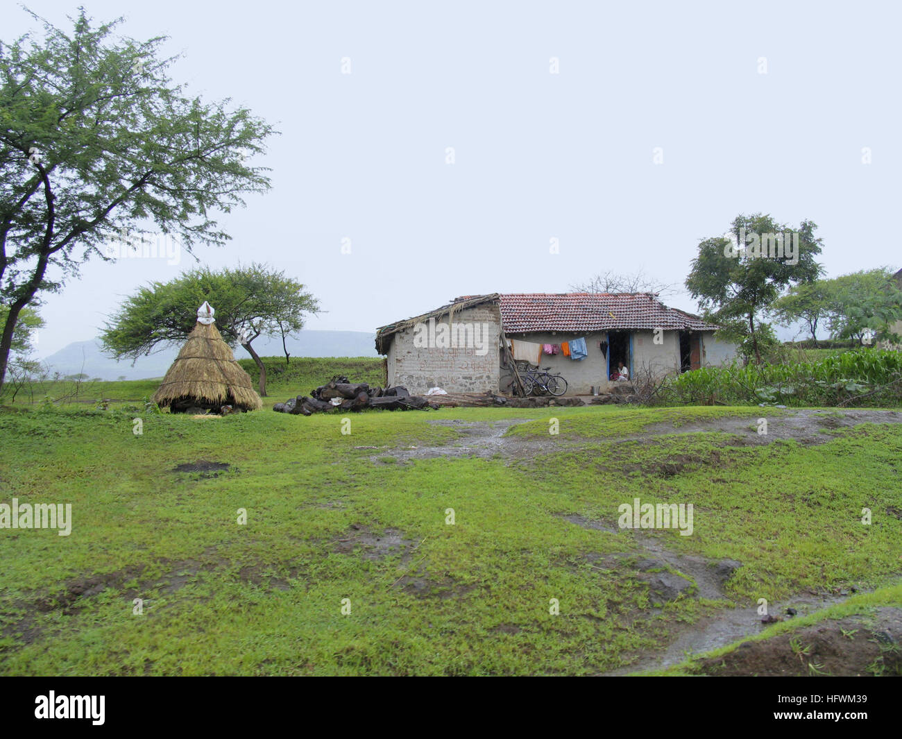 Traditional indian rural scene haystack hi-res stock photography and ...