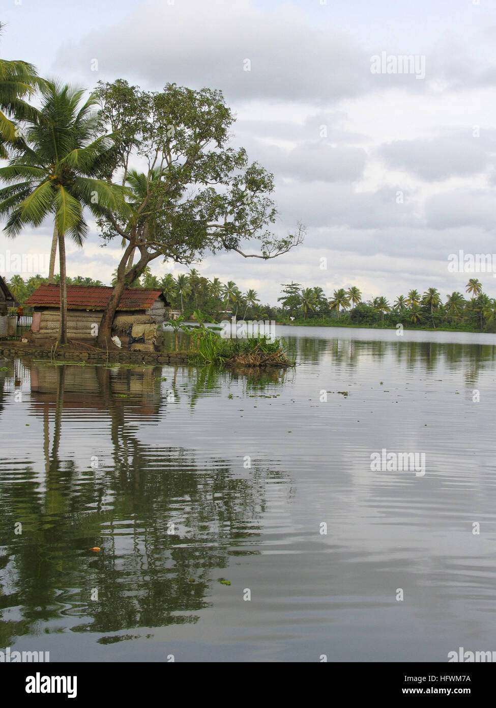 Landscape—Back waters of Kerala. India Stock Photo - Alamy