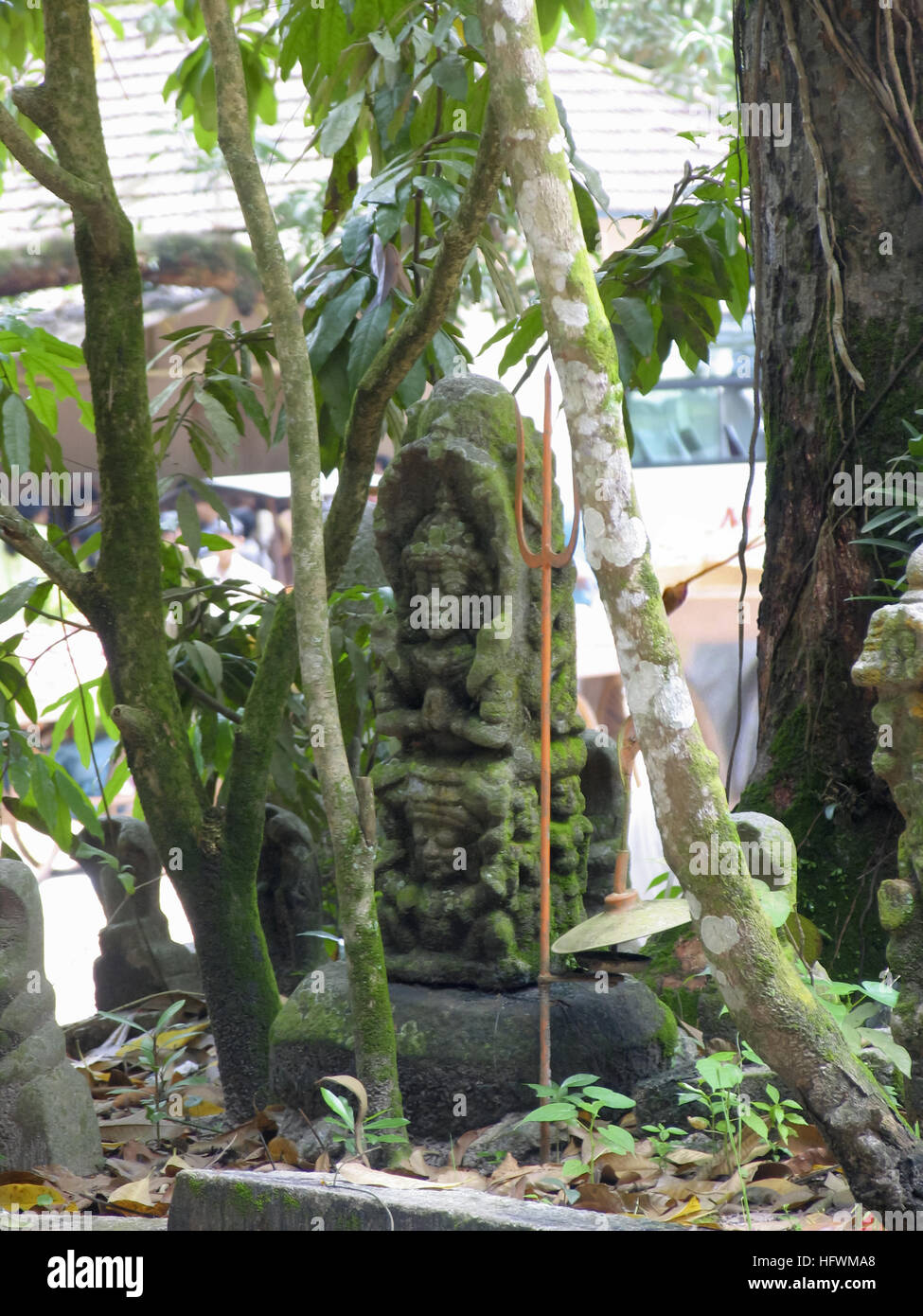 Statue of Nagaraja (King of Snakes), Nagaraja Temple, Mannasala, Kerala ...