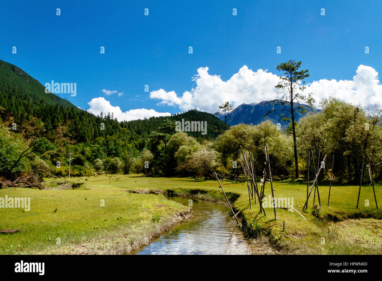 The beautiful view of the forest in Tibet Stock Photo - Alamy
