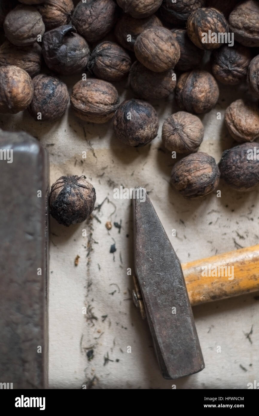 Old vintage nutcracker hi-res stock photography and images - Alamy