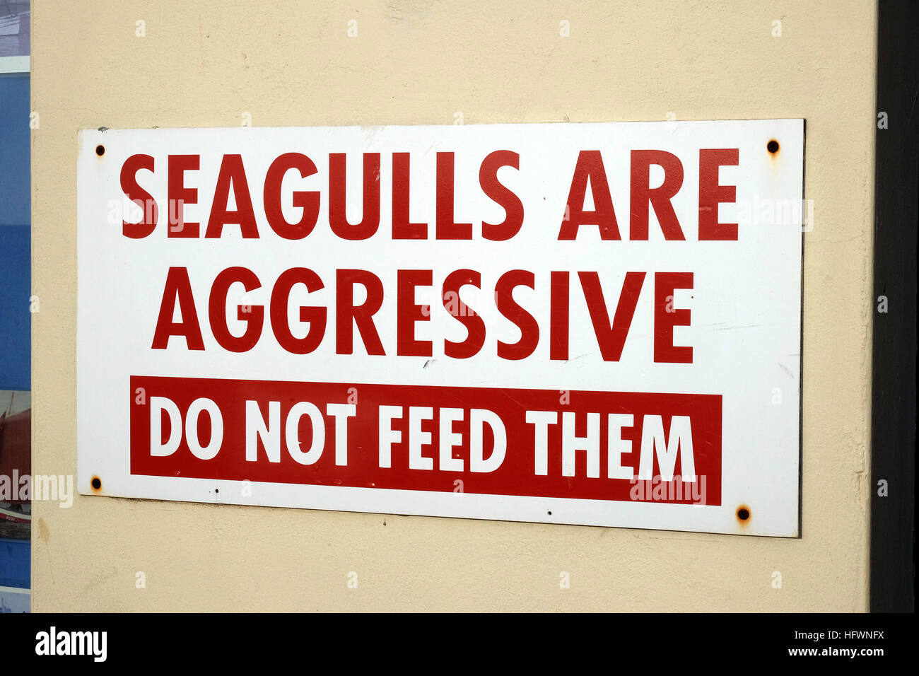 Seagulls are Aggressive warning sign Stock Photo - Alamy