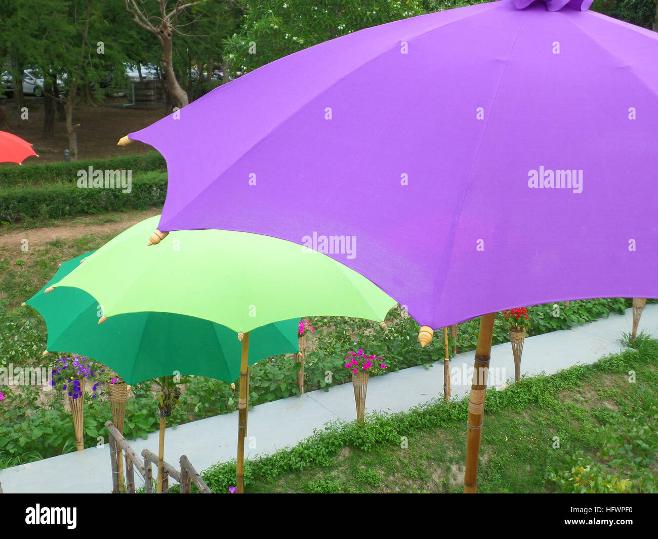 Vibrant purple and bright lime green colored parasols in a botanic ...