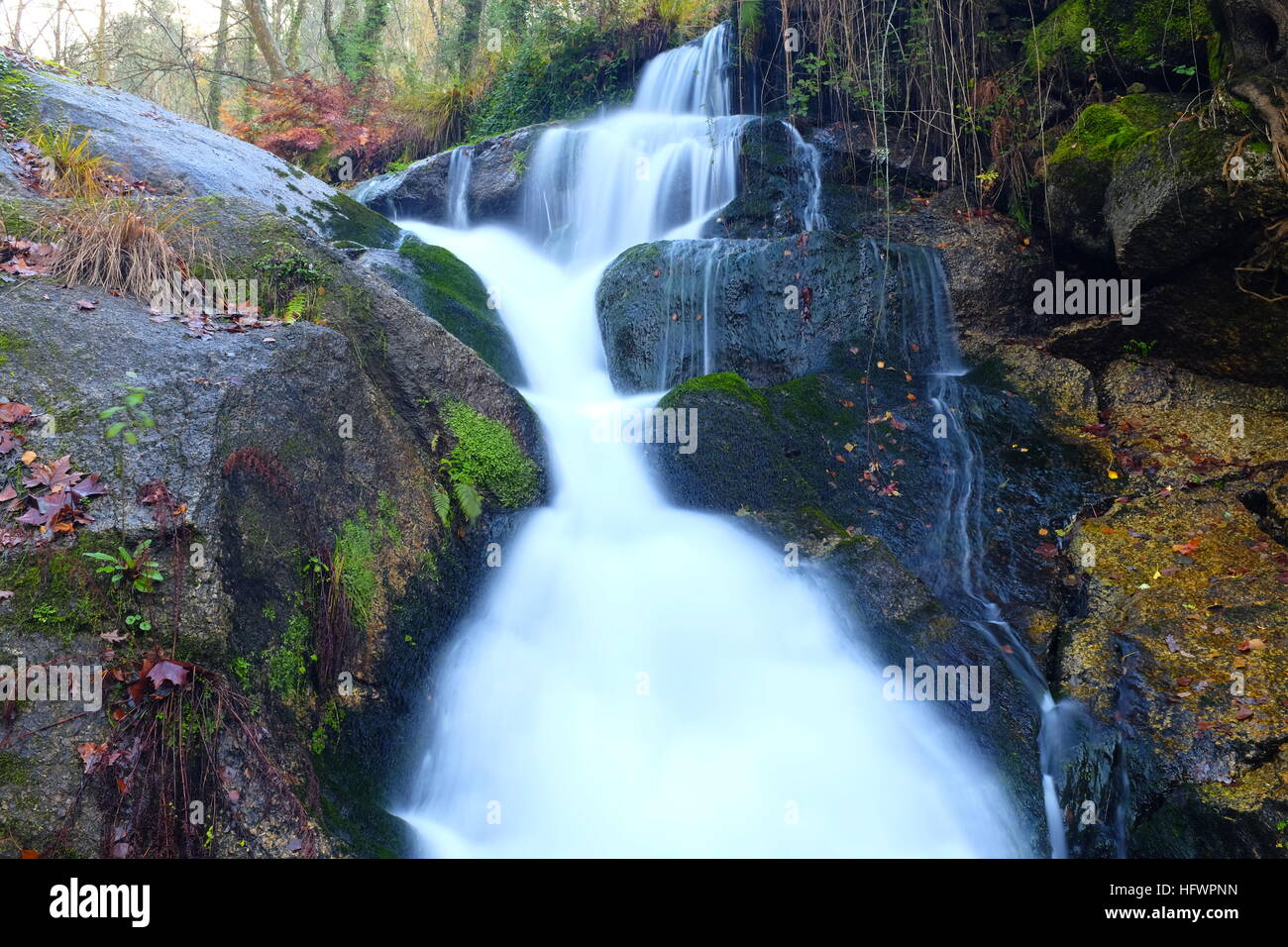 waterfall, river, water, forest, stream Stock Photo - Alamy
