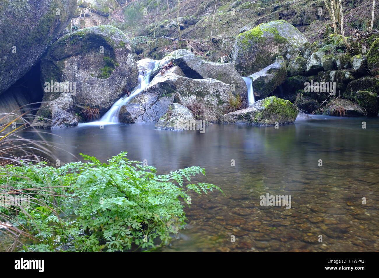 Water and forest hi-res stock photography and images - Alamy