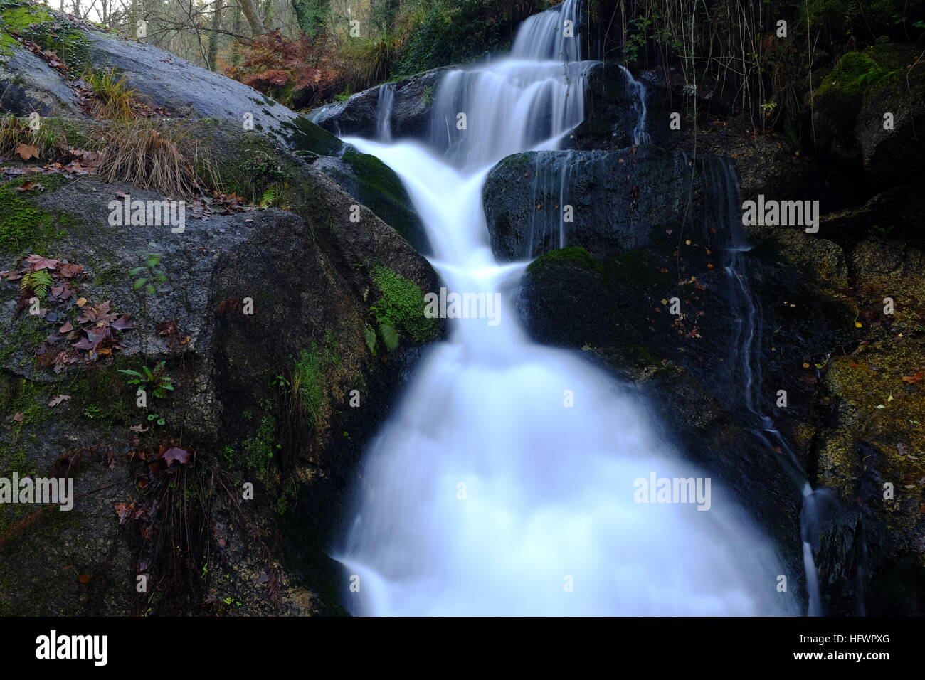 Water and forest hi-res stock photography and images - Alamy