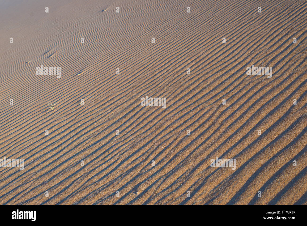 Soft sunlight over ridges and shapes of sand dunes in the majestic ...
