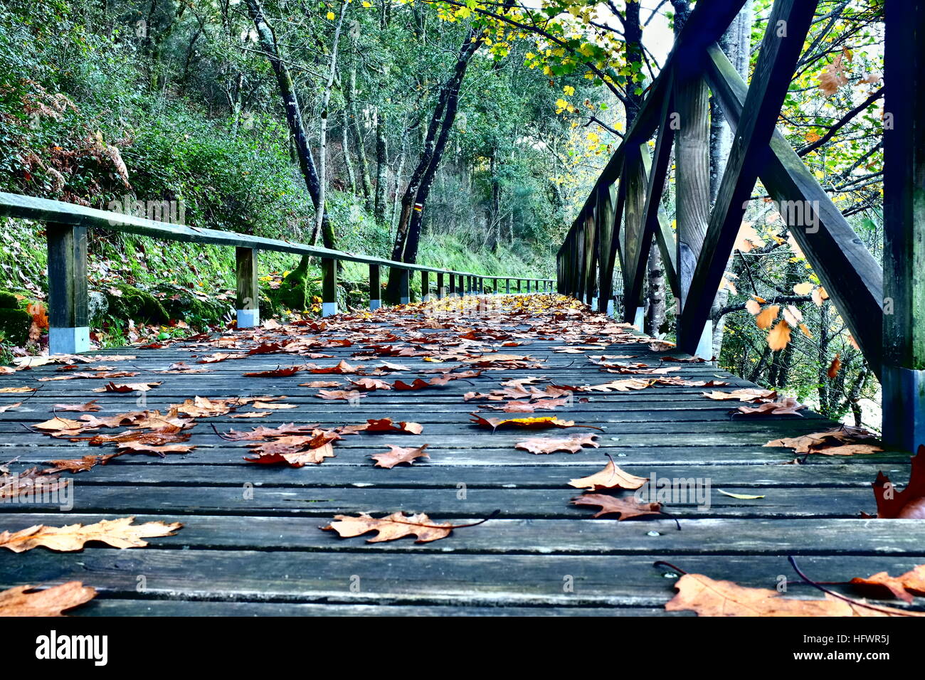 autumn, park, leafs, wood, walkway Stock Photo - Alamy