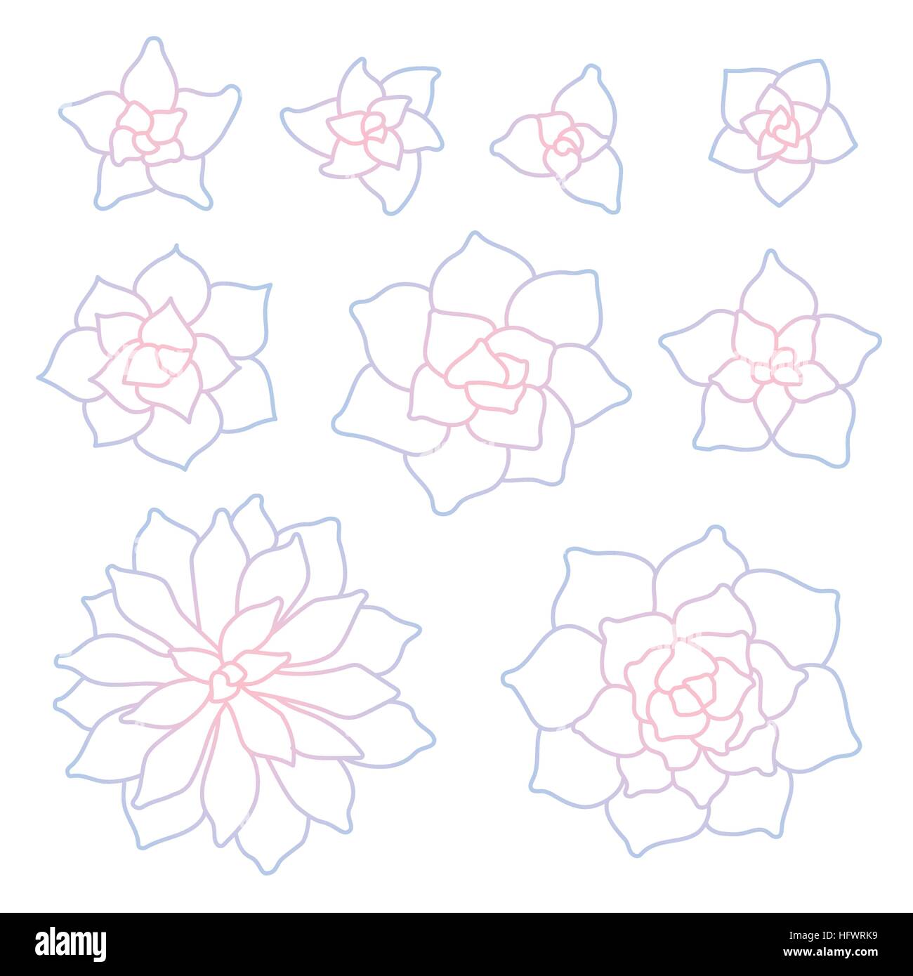 Line art succulent plant set on white background Stock Vector Image ...